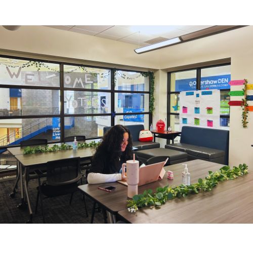 The Coyote Experience (4YE) | Academic Success and Undergraduate Advising | CSUSB